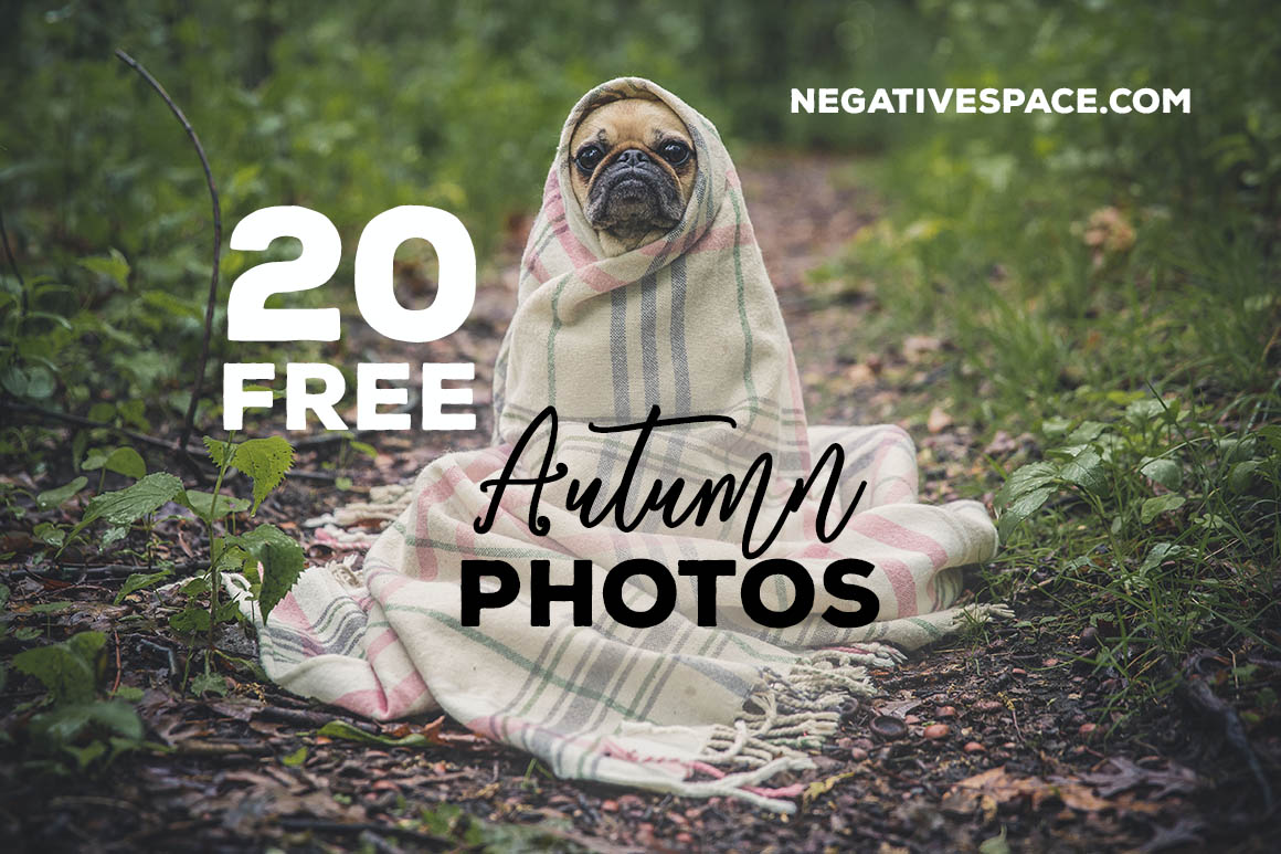 20 Free Autumn Photos Negativespace - Dealjumbo