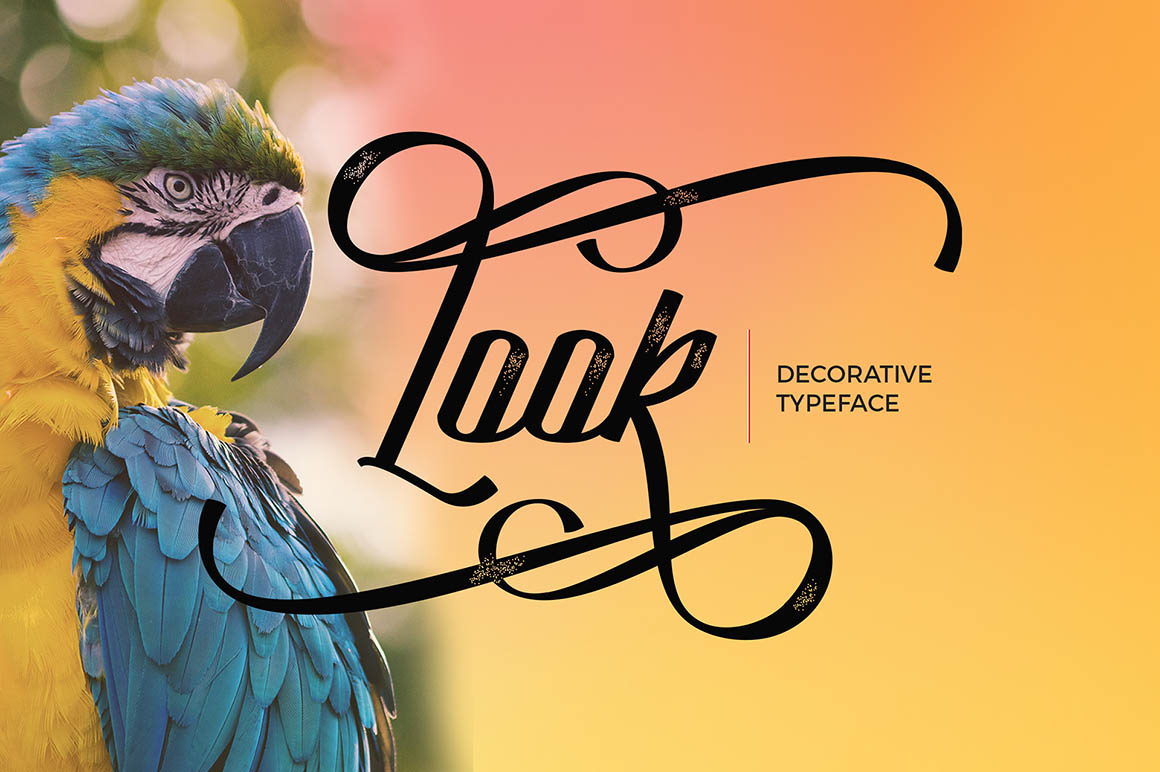 Look Script - Free Font - Dealjumbo